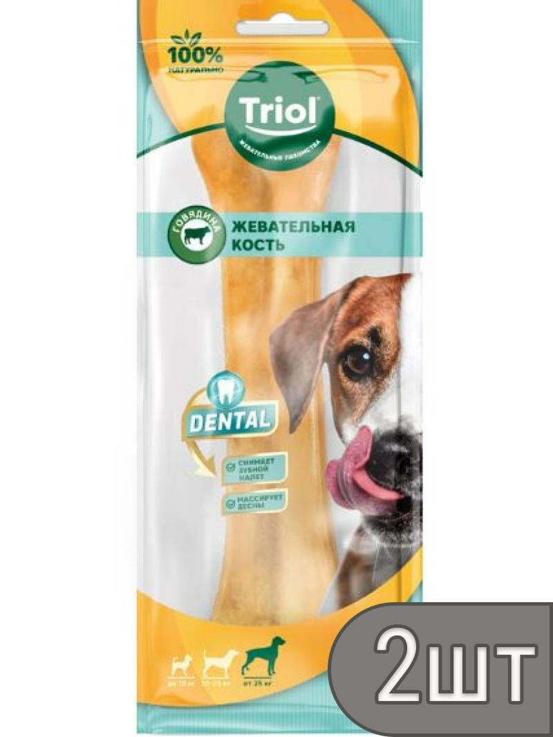 Triol Набор 2 шт Кость жевательная DENTAL, 20см 0.3 кг