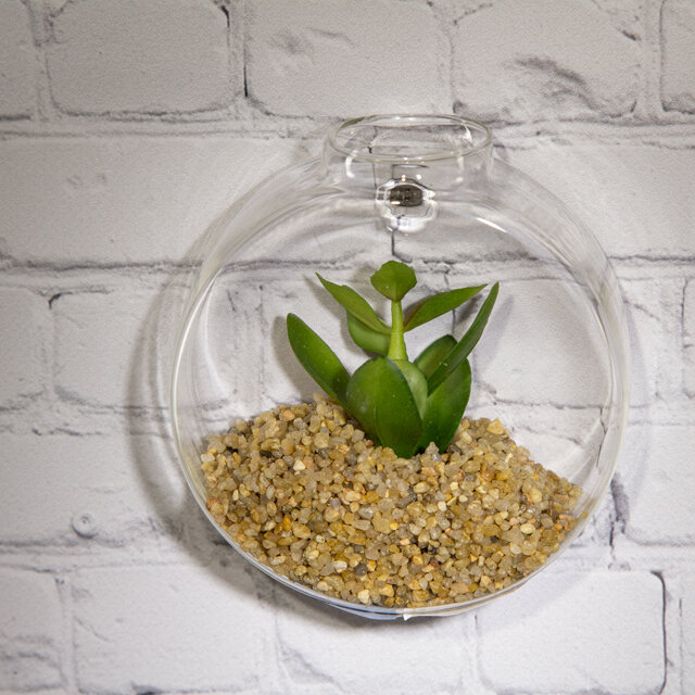 Настенный искусственный флорариум Адениум 10 см, Edelman, 1075047-1