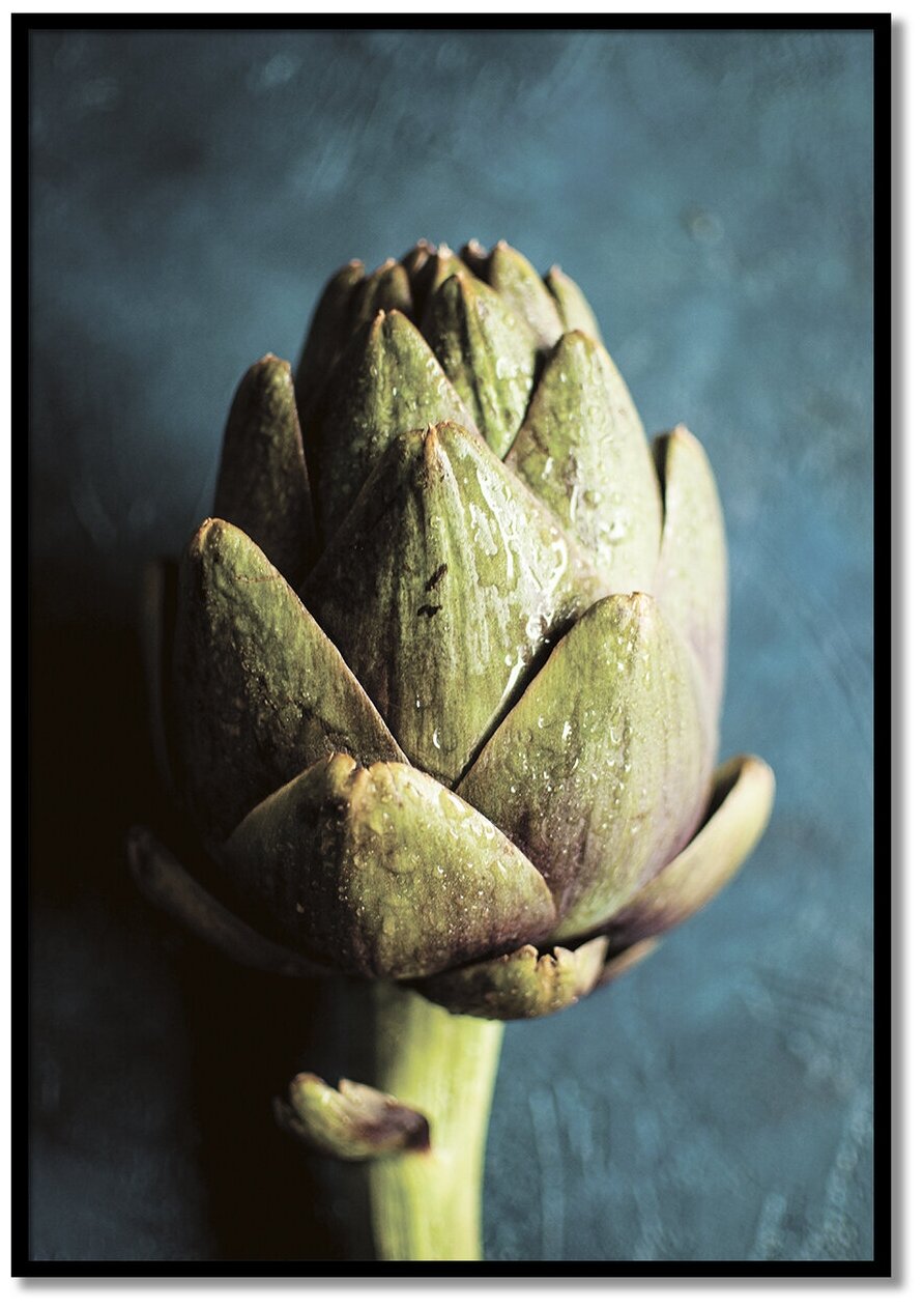 Постер в рамке Postermarkt Артишок, 40х50 см