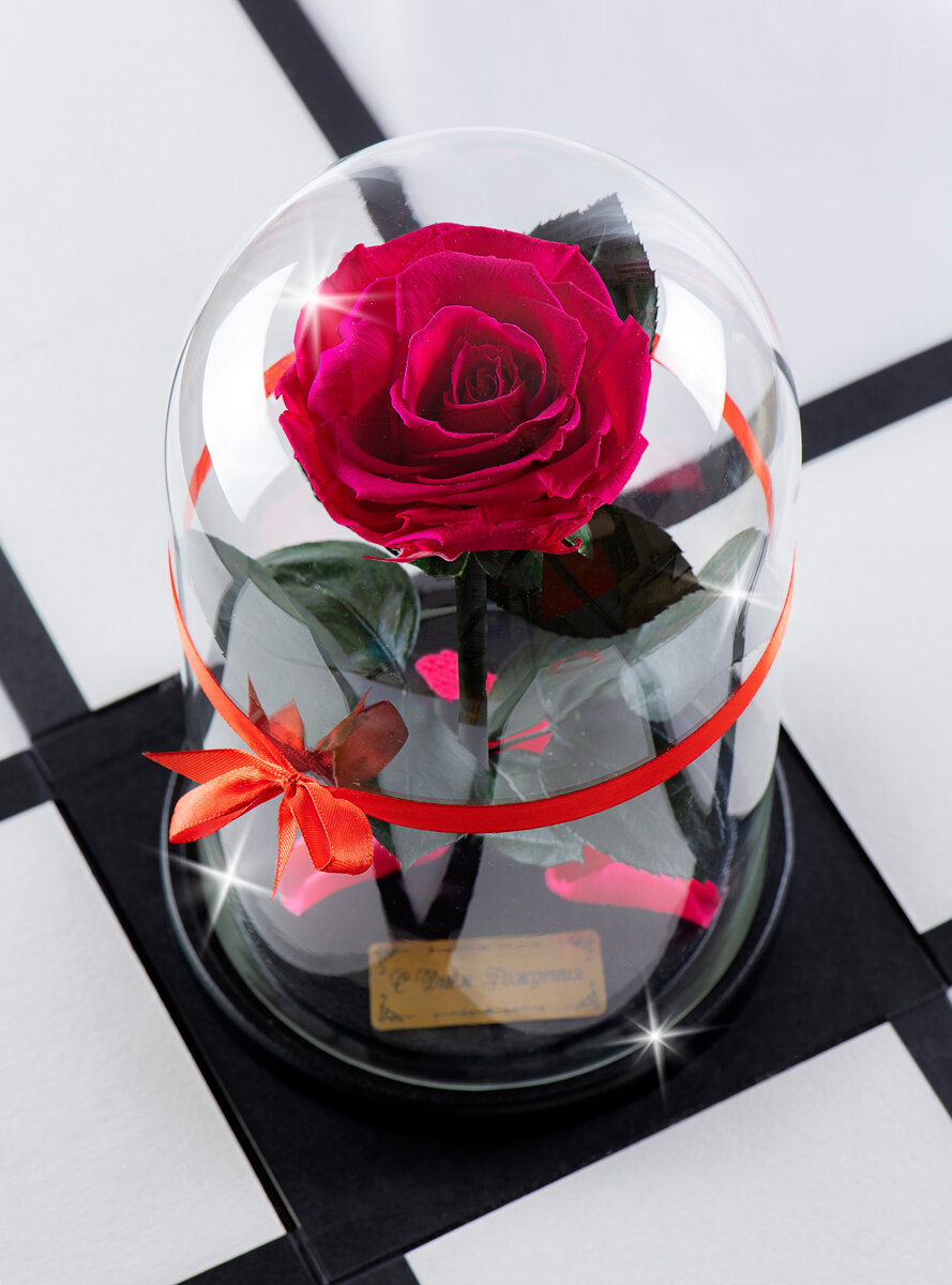 Роза в колбе "The Rose Dome", стабилизированная фуксия