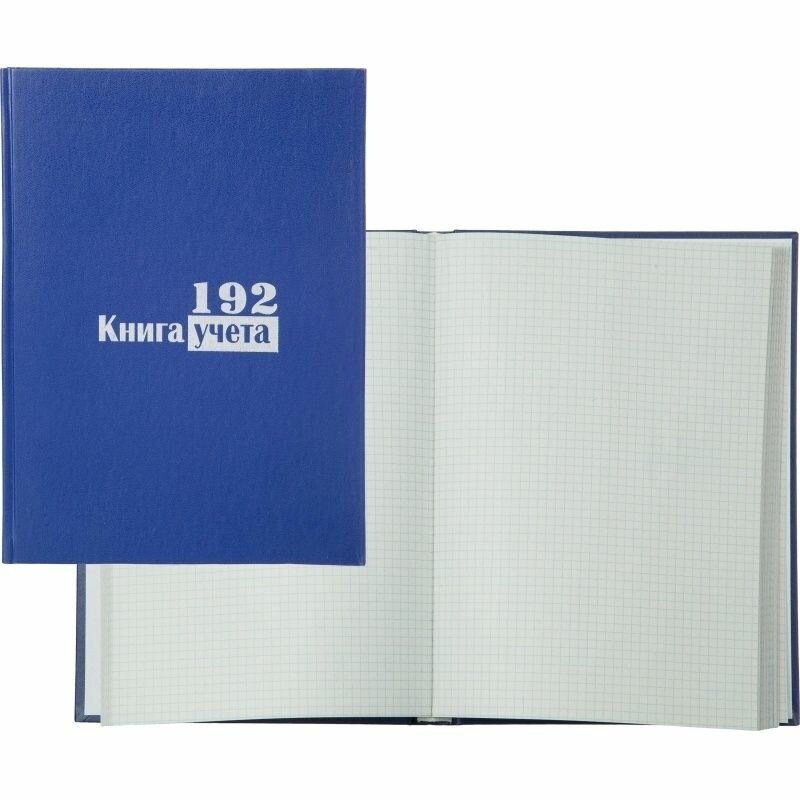 Книга учета выбор есть Клетка, А4, 192 листа, блок типографская бумага, обложка бумвинил
