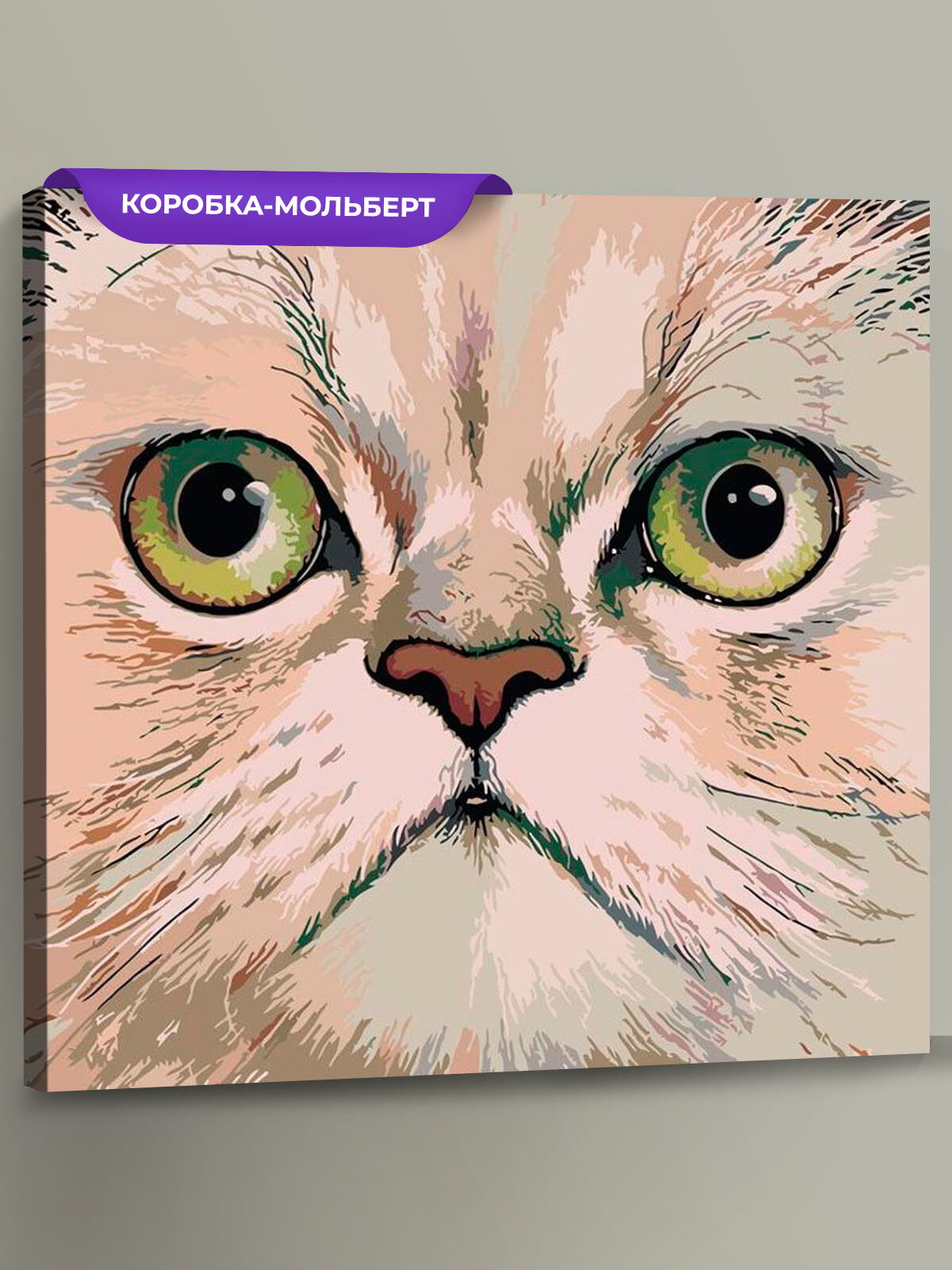 Картина по номерам на холсте с подрамником "Британская короткошерстная", Раскраска 40х40 см, Кот Кошка Животные