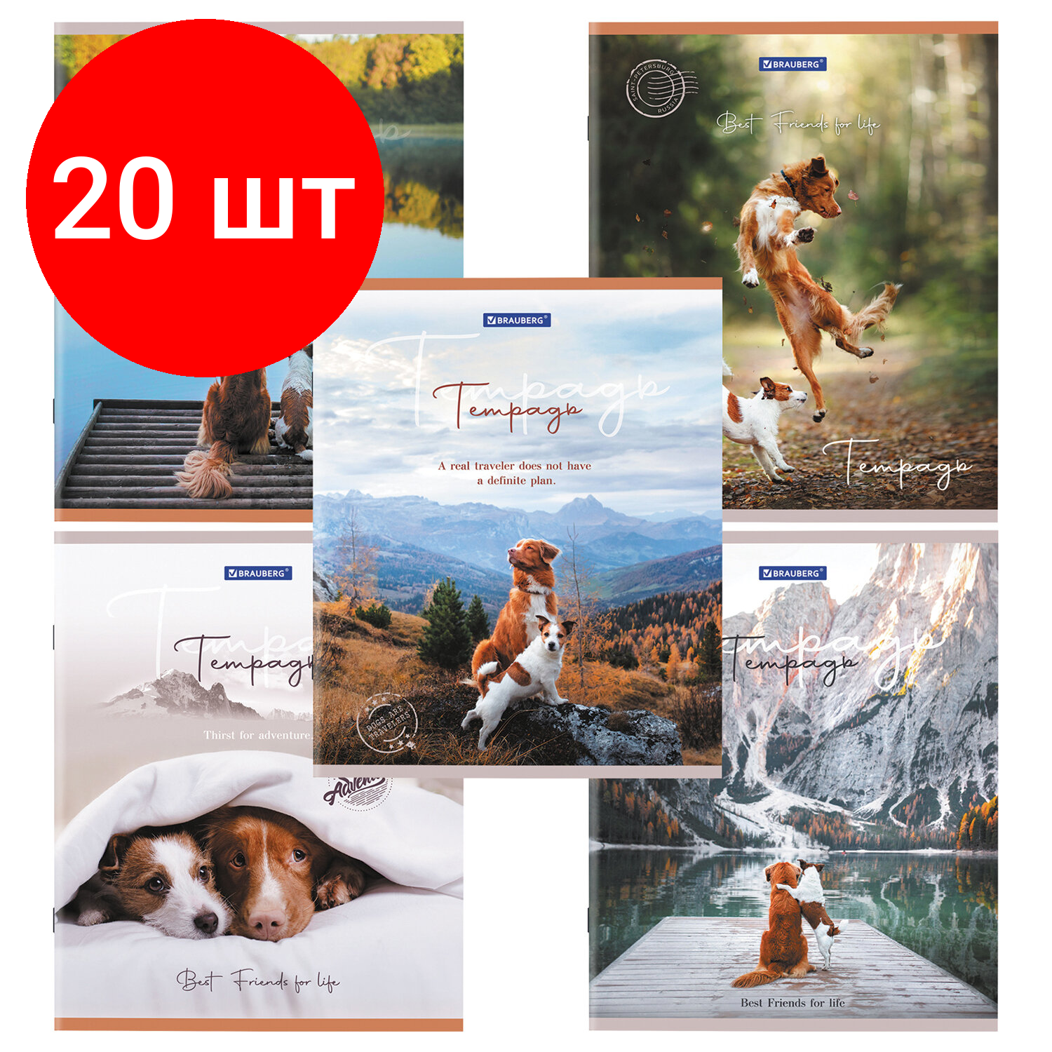 Комплект 20 шт, Тетрадь А5 48 л. BRAUBERG скоба, клетка, обложка картон, "Best Friends", 404360