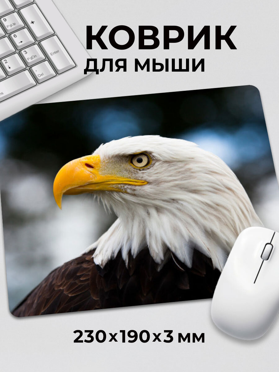Коврик для мышки игровой маленький Белоголовый орлан птица c тканевой поверхностью, на нескользящем резиновом основании