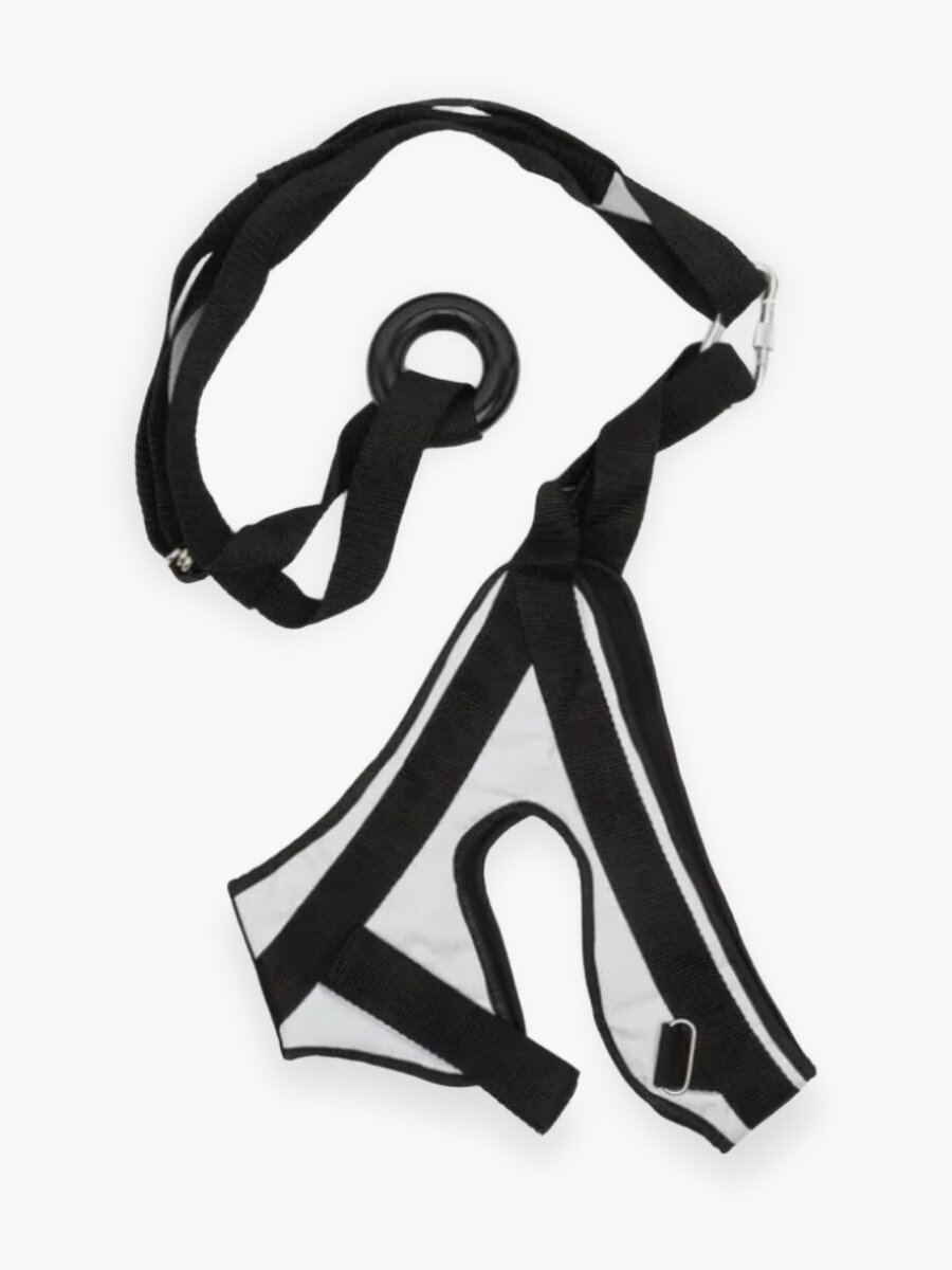 Петля Глиссона с креплением на дверь и турник