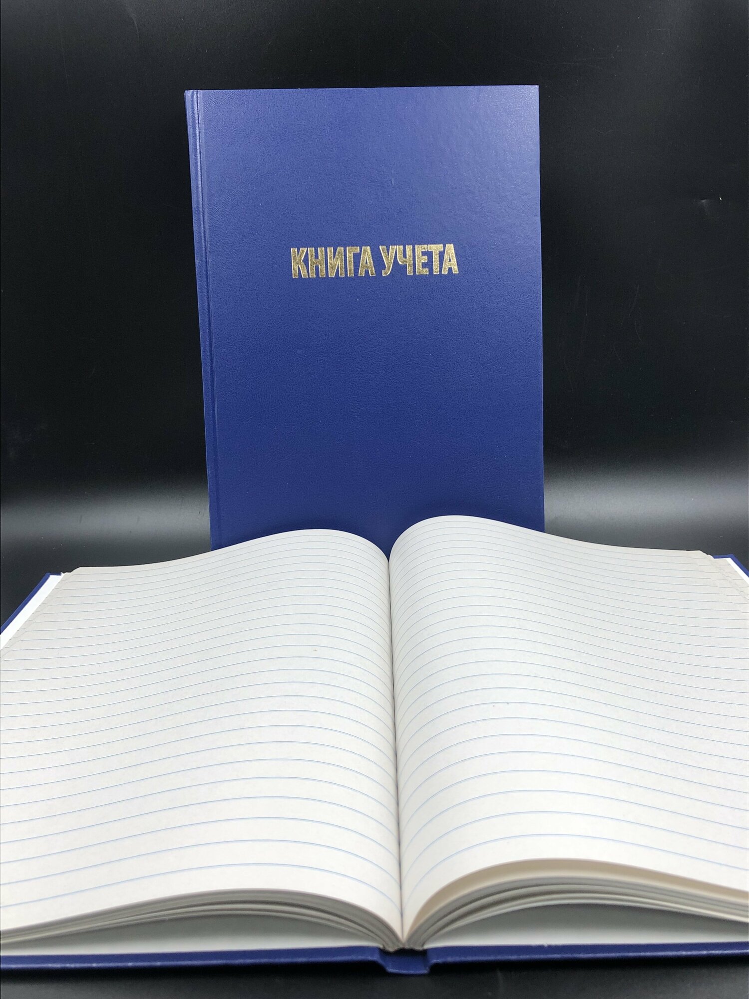 Книга учета 192 л. линейка, обложка бумвинил, блок газетка, арт.2903216