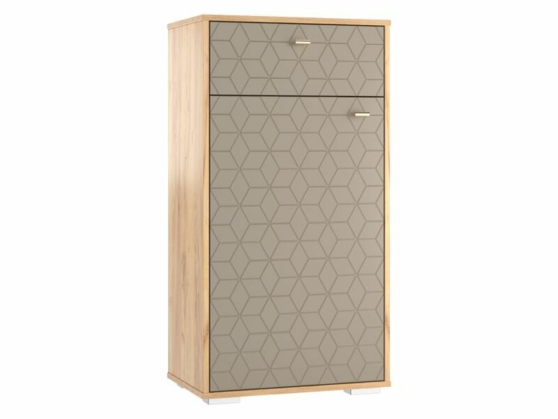 Комод для обуви "Монс 2" 54х103х35 Дуб крафт золотой / Мокко