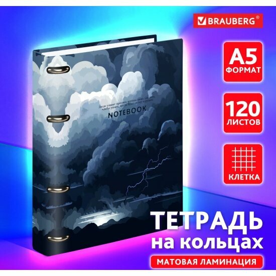 Тетрадь Brauberg на кольцах А5 160х212мм, 120л, картон, матовая ламинация, клетка, , Сова, 404726