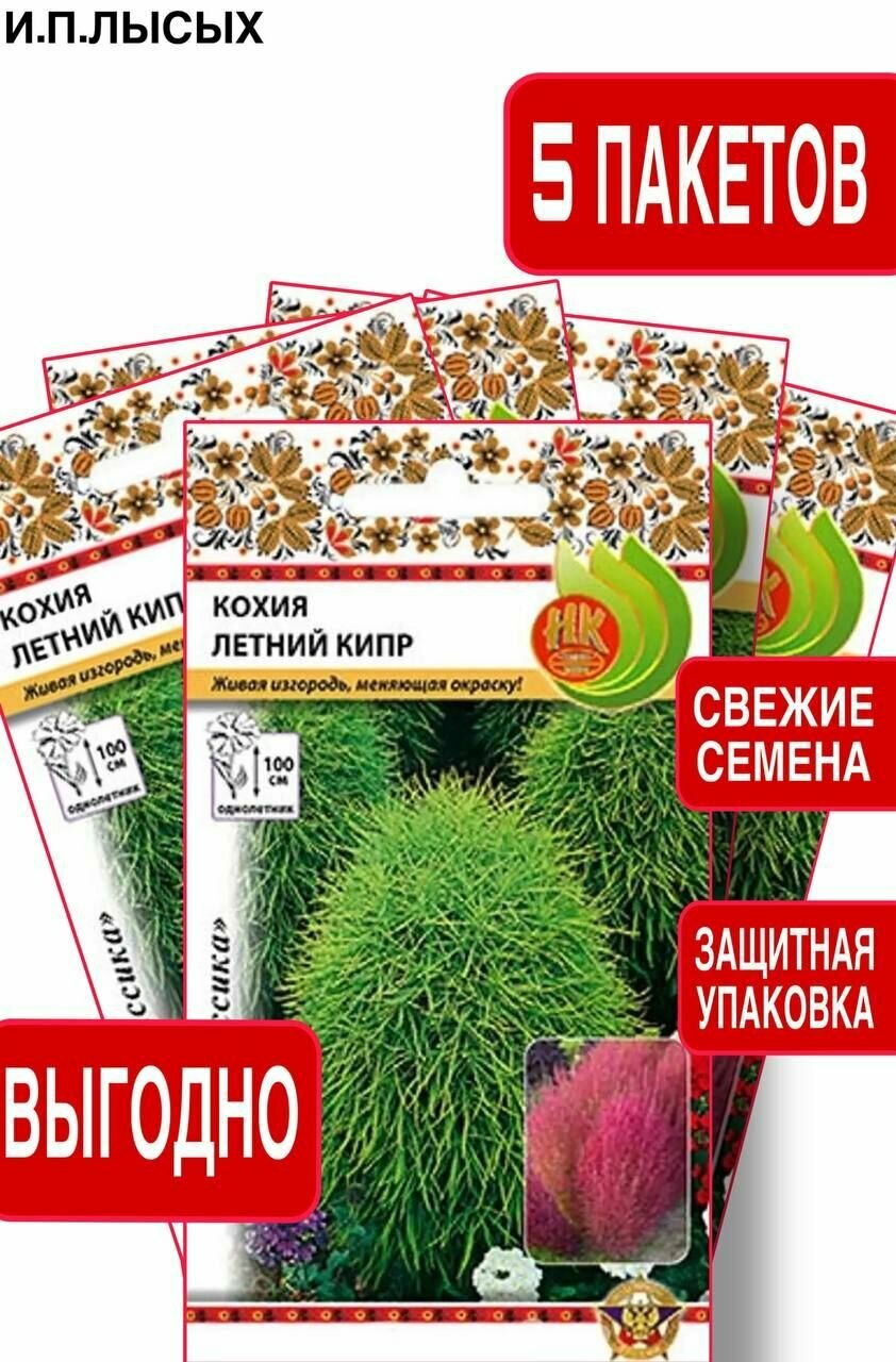 Семена Цветы Кохия Летний Кипр 5шт