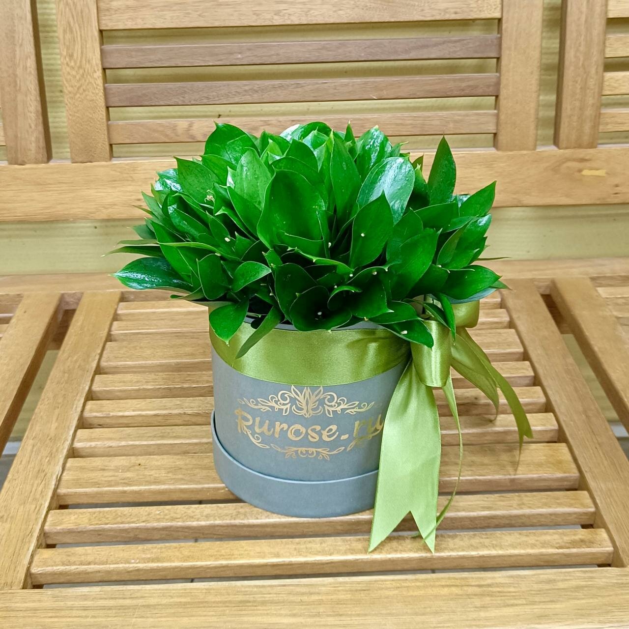 Живые цветы букет зеленого рускуса в коробке "Оазис"