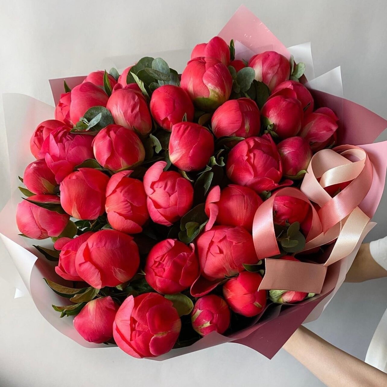 Букет из коралловых пионов 35 шт и эвкалипта, красивый букет цветов, шикарный, премиум цветы, премиум букет