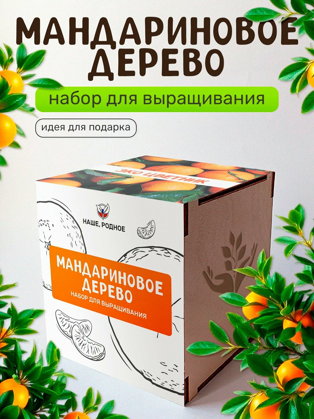 Набор для выращивания растений Сад на окне "Мандариновое дерево", в деревянном горшочке