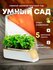 Мини-тепличка