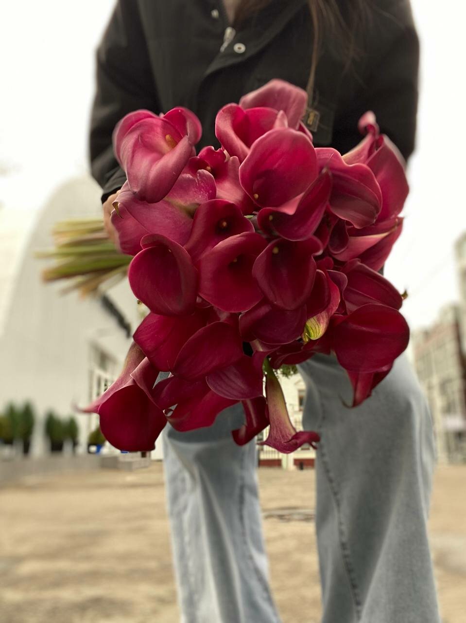 Букет живых цветов NURA FLOWERS, 35 малиновых калл, на стеблях, высота 40 см.