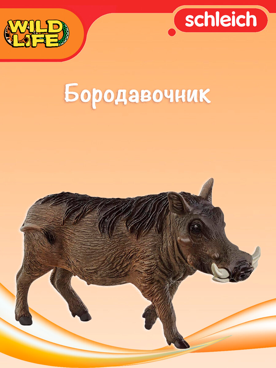 Schleich Wild Life Фигурка "Бородавочник", для детей от 3 лет, 14843