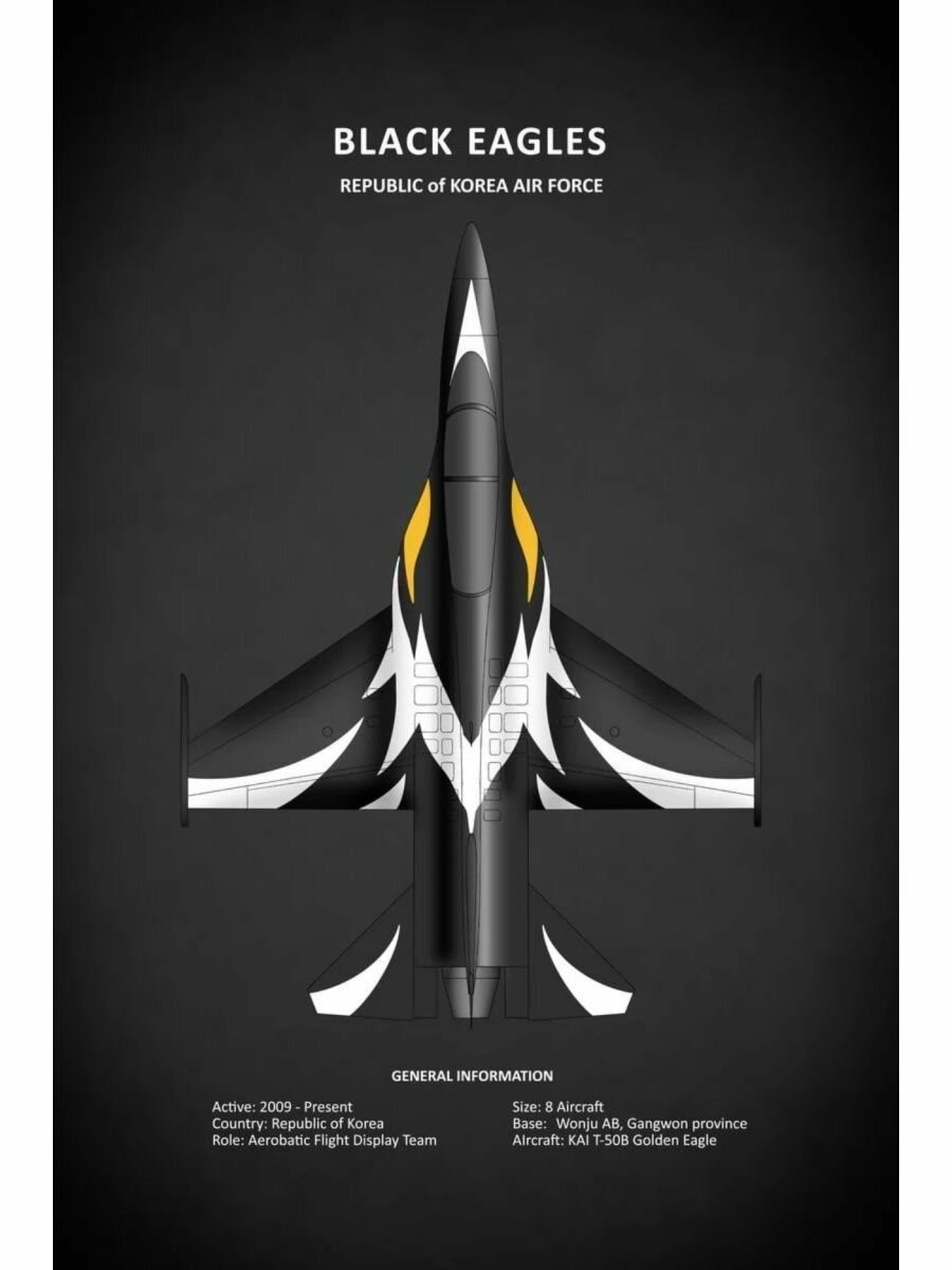 Постер "Aircraft. Черный орел"