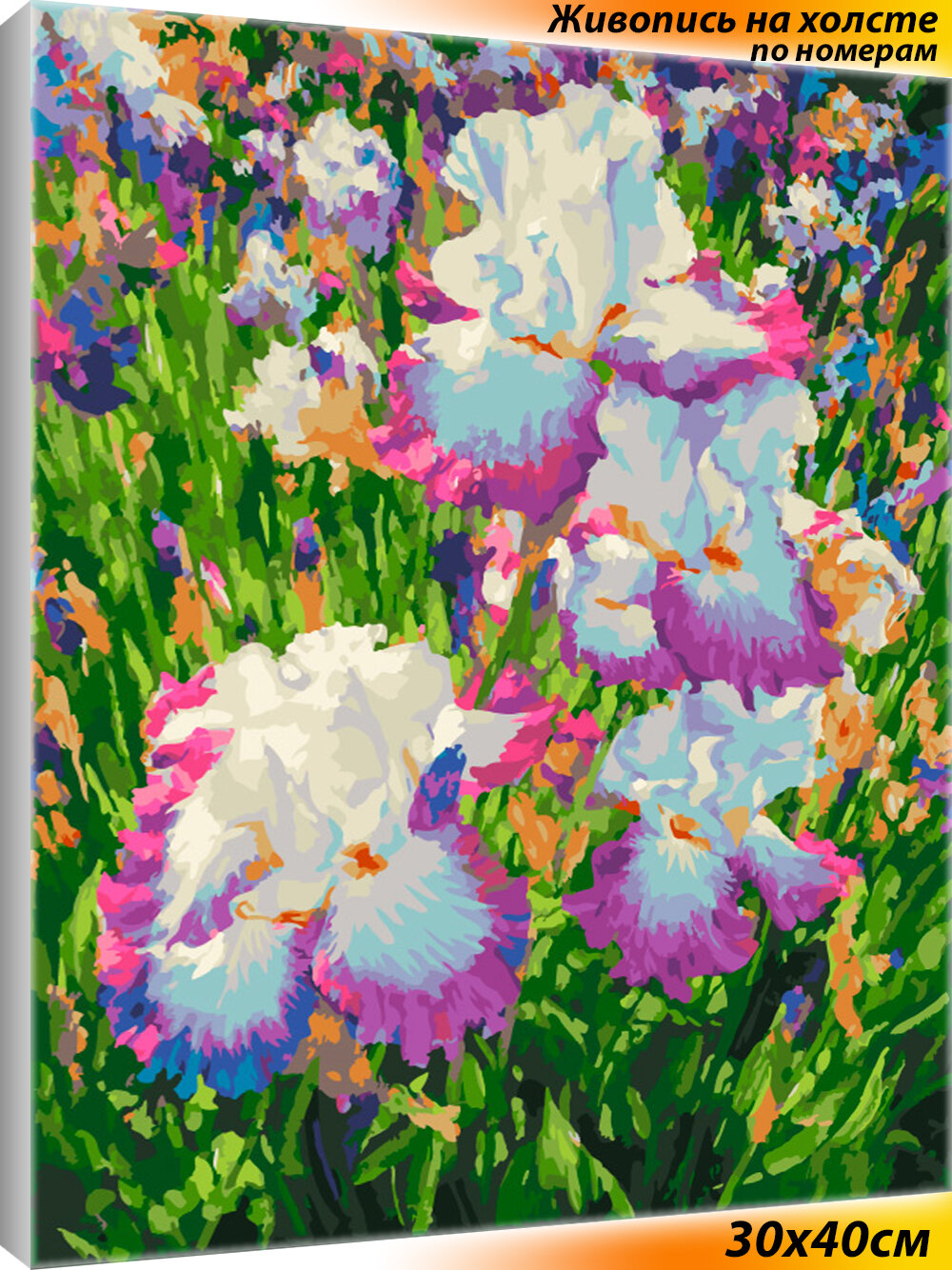Картина по номерам на холсте Белоснежка "Кружевной ирис" / Живопись 30х40 см.
