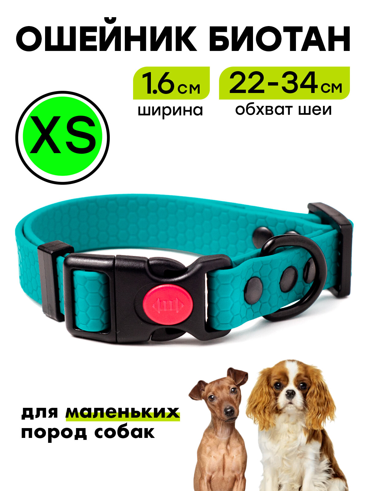 Ошейник из биотана 22-34 см (XS), 16 мм, Woofy "Iron", для маленьких собак, водостойкий, бирюзовый