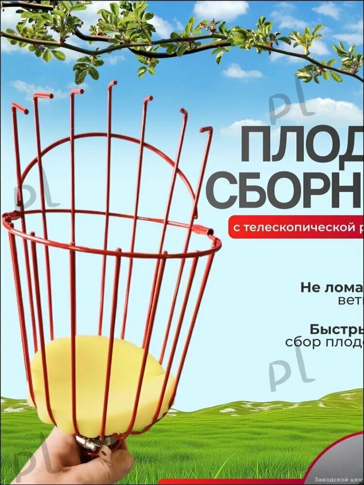 Плодосборникх10х10см — фото 1