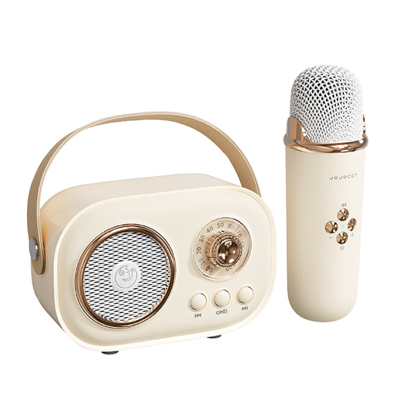 Колонка портативная Bluetooth унисекс CHIELYUAL D22 с микрофоном для ПК, артикул 5865334
