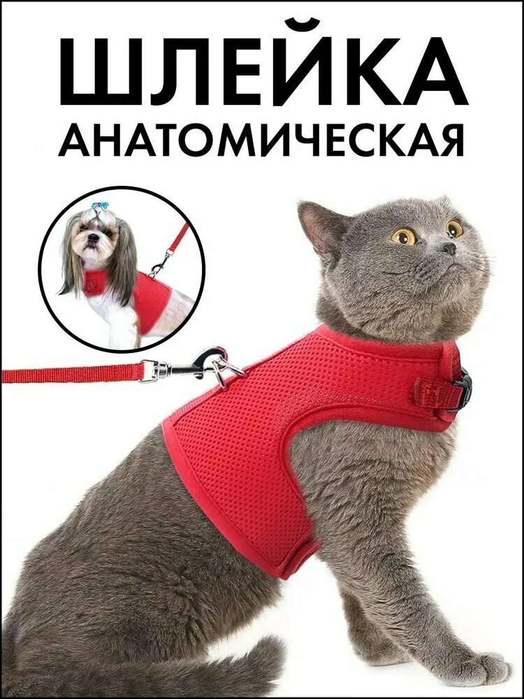 Шлейка — фото 1