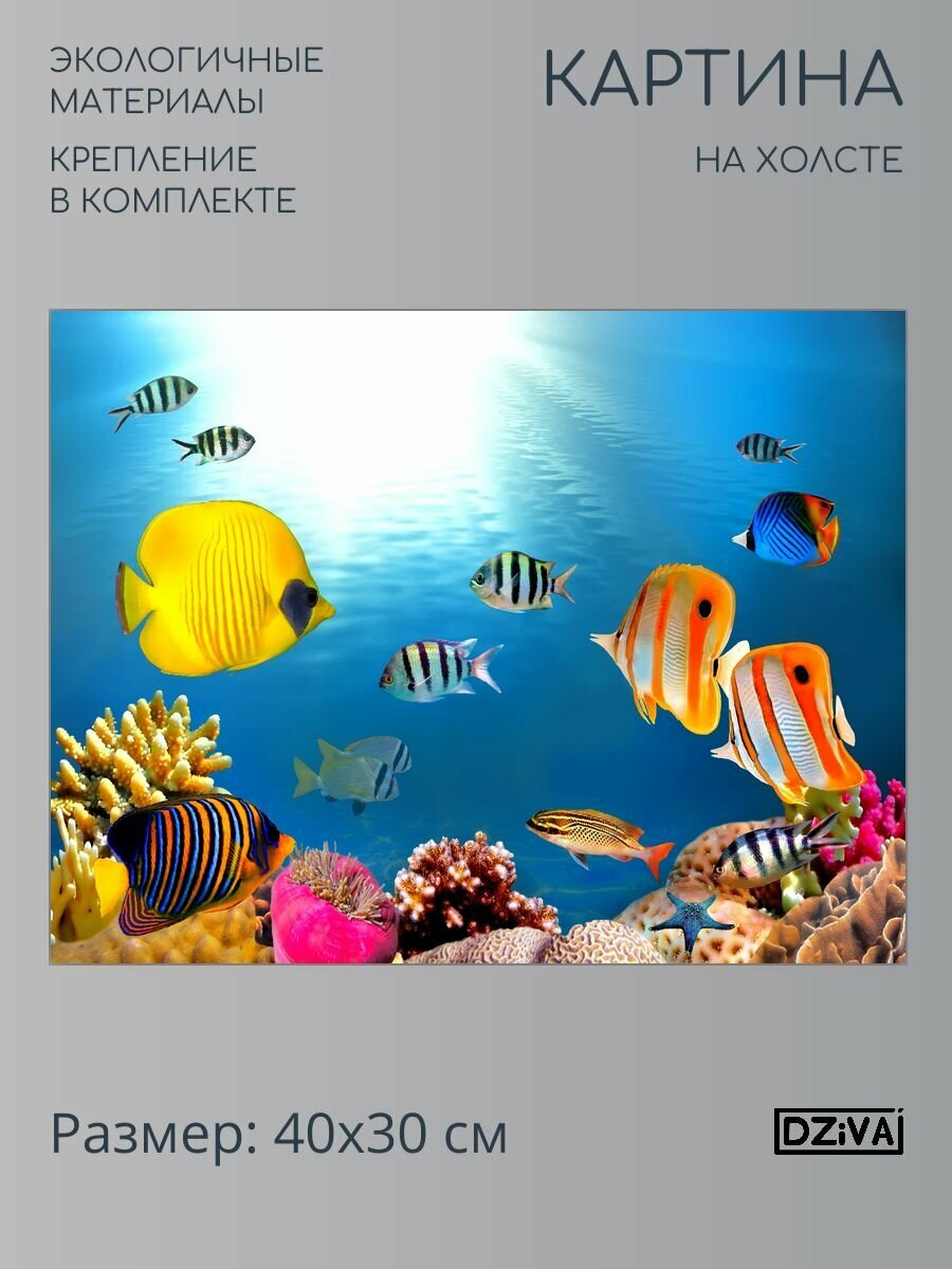 Картина на холсте Декоративные рыбки 30x40 см