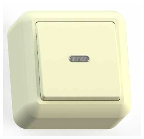 Выключатель 1-кл. ОП Оптима 10А IP20 А110-386 с индикацией с монтаж. пластиной сл. кость Кунцево 8031