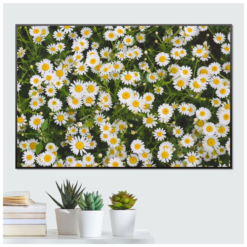 Постер Поле С Ромашками Вид Сверху 90х60 см ПолиЦентр