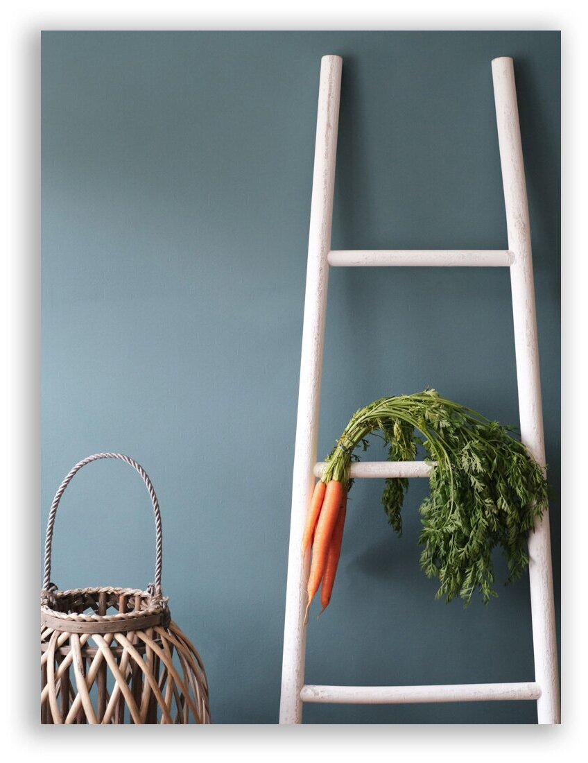 Постер на бумаге / Морковь