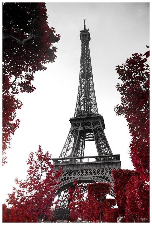 Фотообои Уютная стена "Монохромный вид Эйфелевой башни" 180х270 см Виниловые Бесшовные (единым полотном)