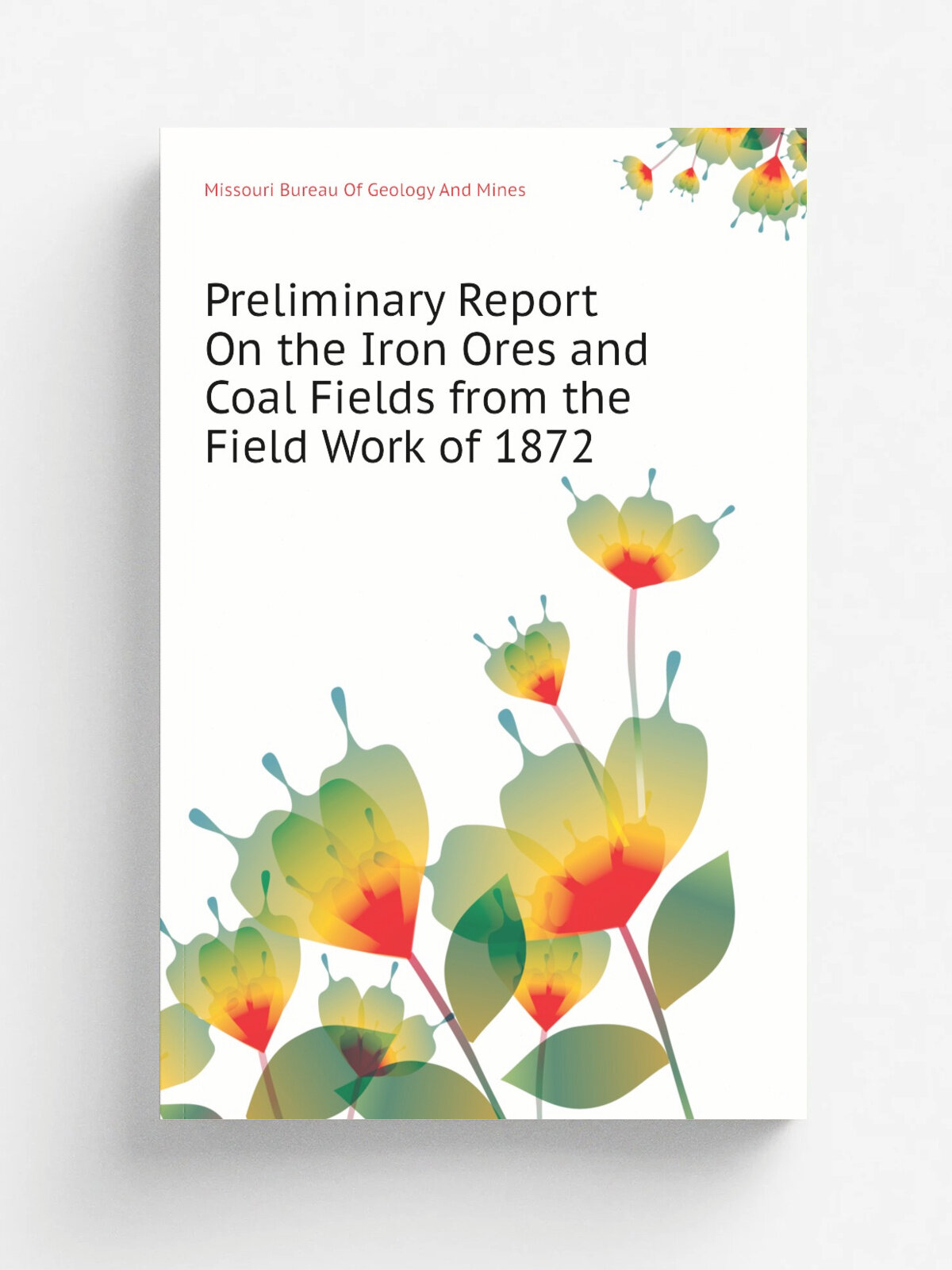 Preliminary Report On the Iron Ores and Coal Fields from the Field Work of 1872 | Missouri Bureau Of Geology And Mines | Репринт