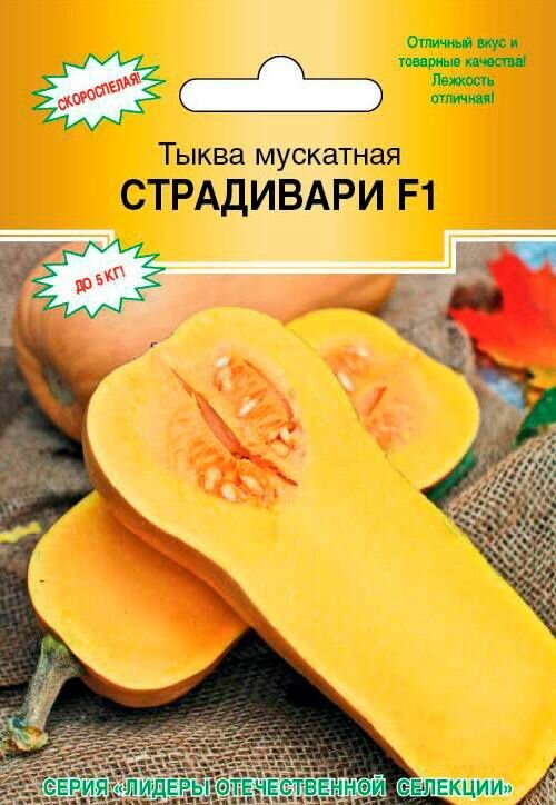 Семена Тыква мускатная Страдивари 3 шт.