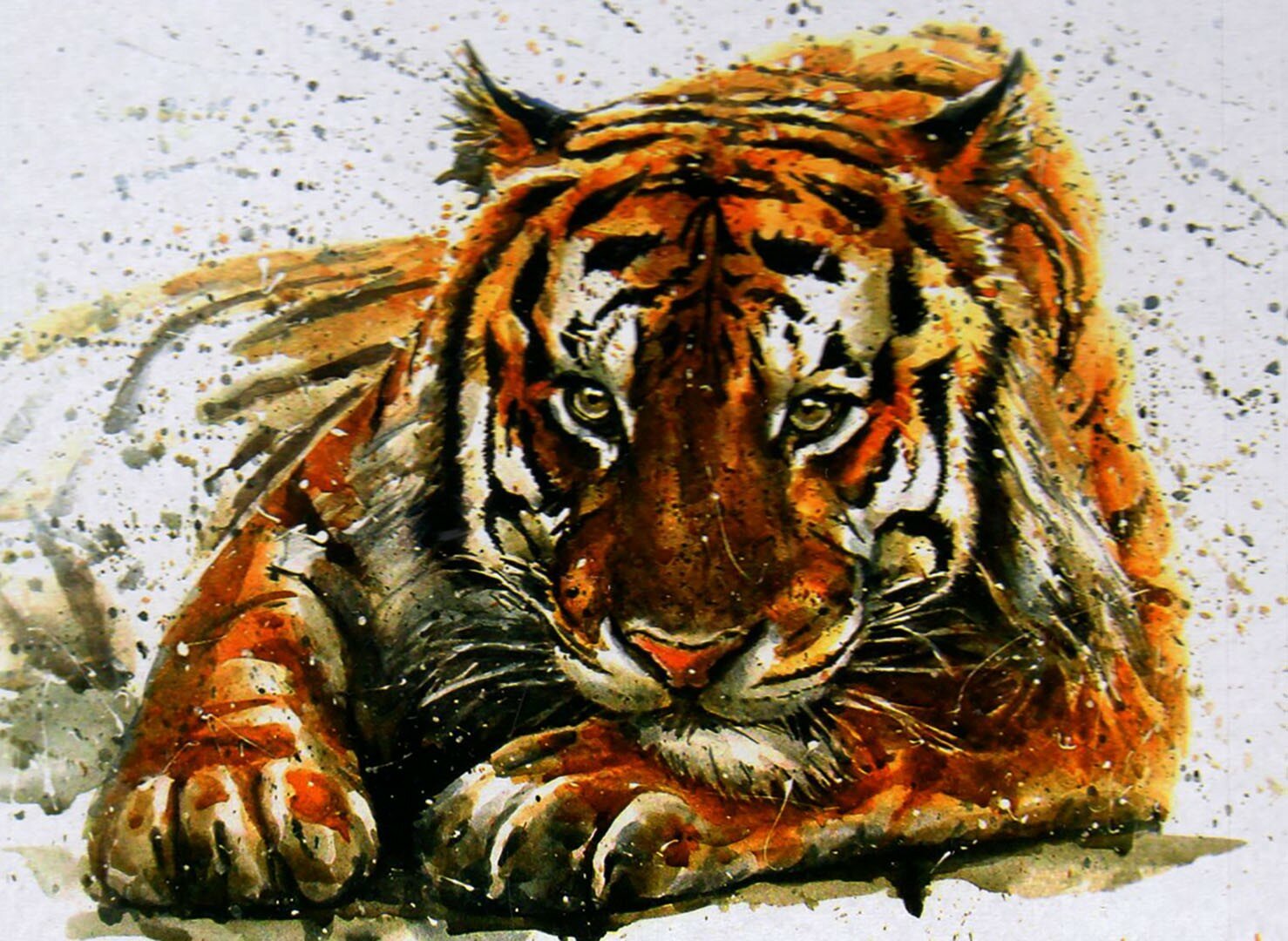 Раскрашивание по номерам. Мощь спокойствия