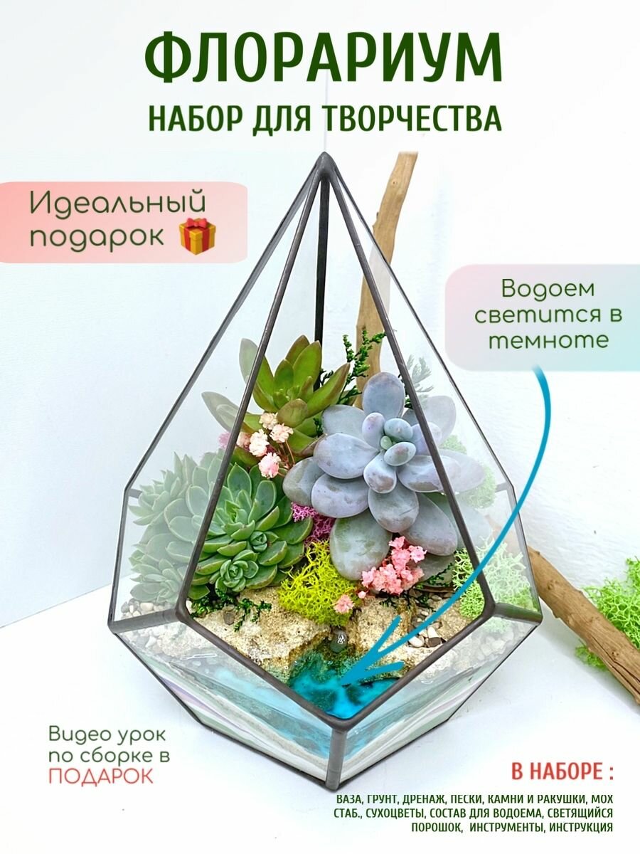 Набор для создания флорариума