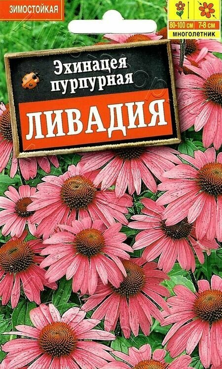 Семена растения Эхинацея пурпурная Ливадия
