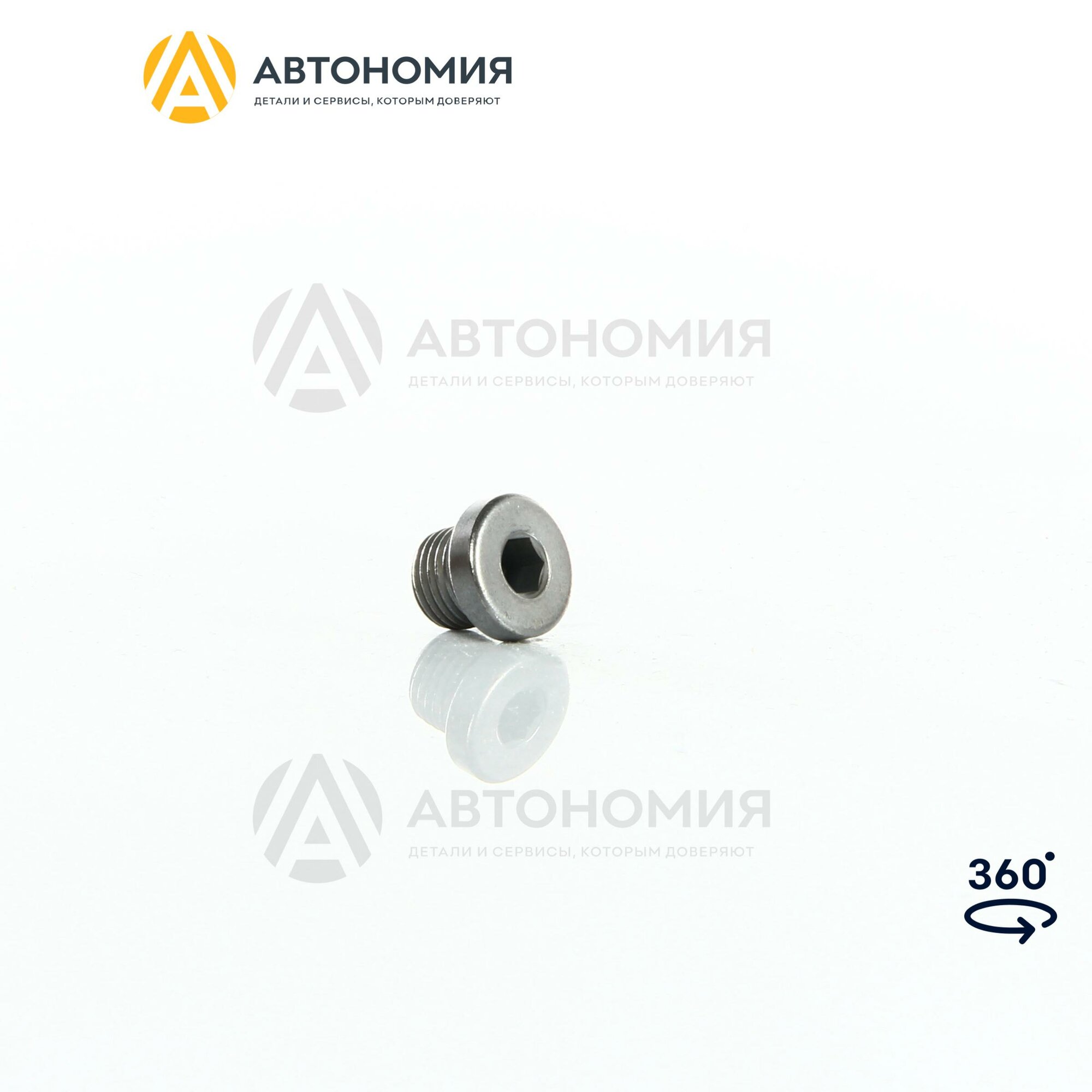 Пробка резьбовая M10x1 VAG N 016 024 3