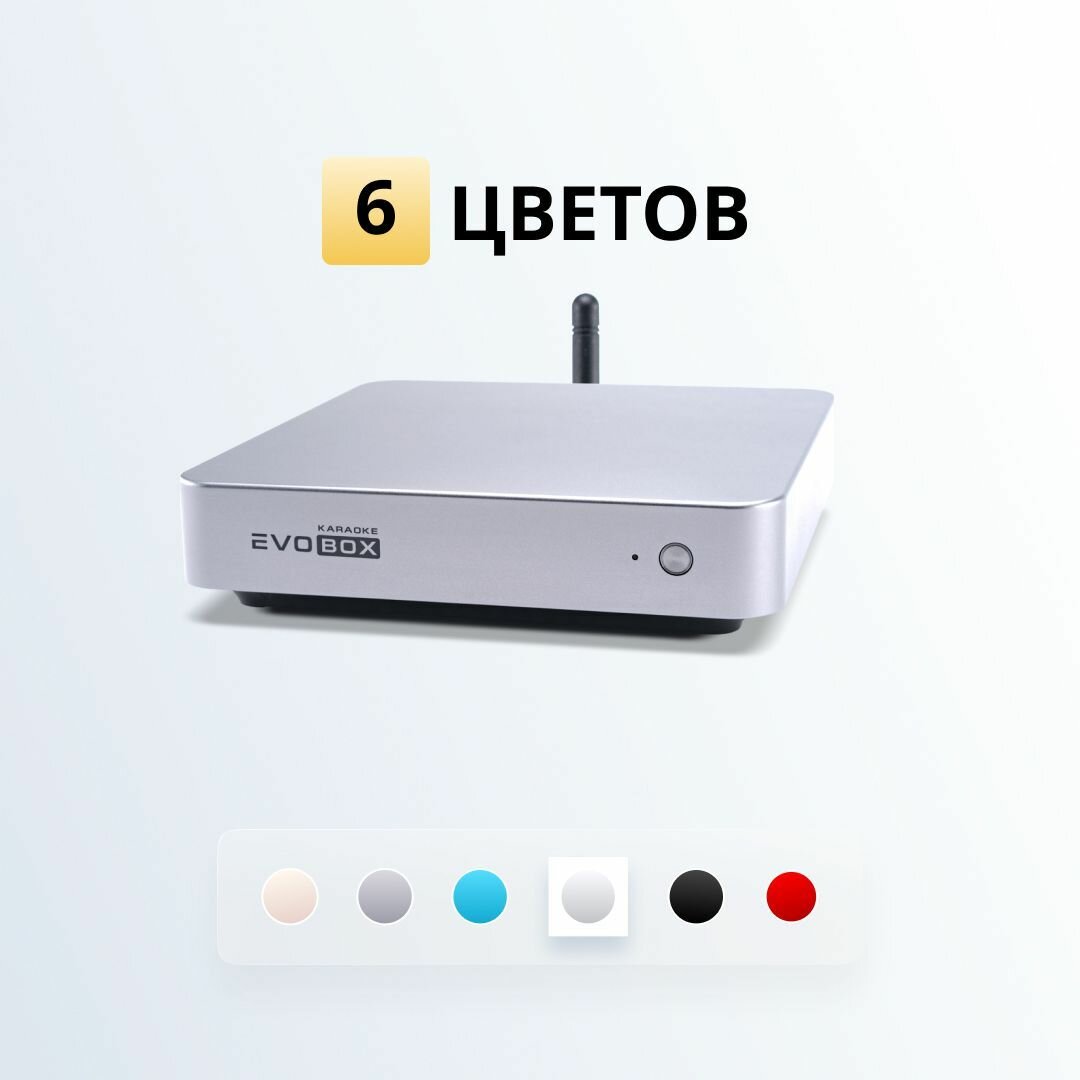 Караоке-система для дома EVOBOX Classic Silver c микрофонами SE 201D