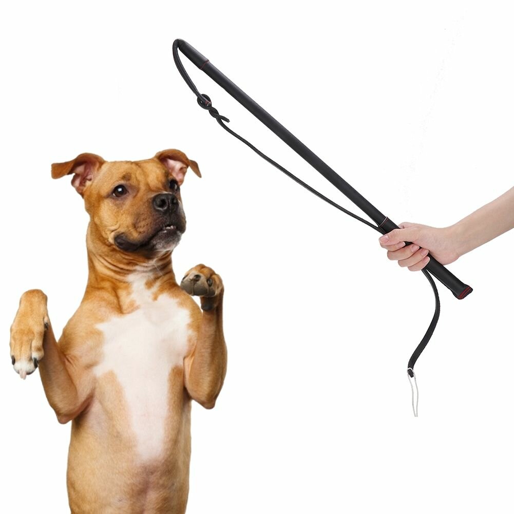 Палки для дрессировки собак и хлысты из воловьей кожи