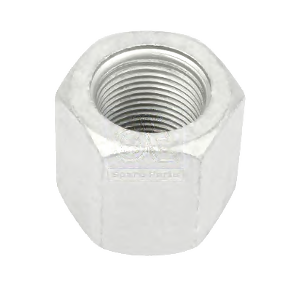 DT 6.11158 (5003032261 / 611158_DT) гайкастремянки m20x1.5\rvi premium 12.99