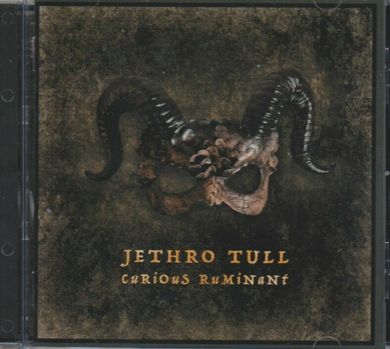 Jethro Tull - Curious Ruminant (2025) новинка! 20 - page