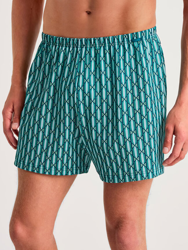 Трусы Prints