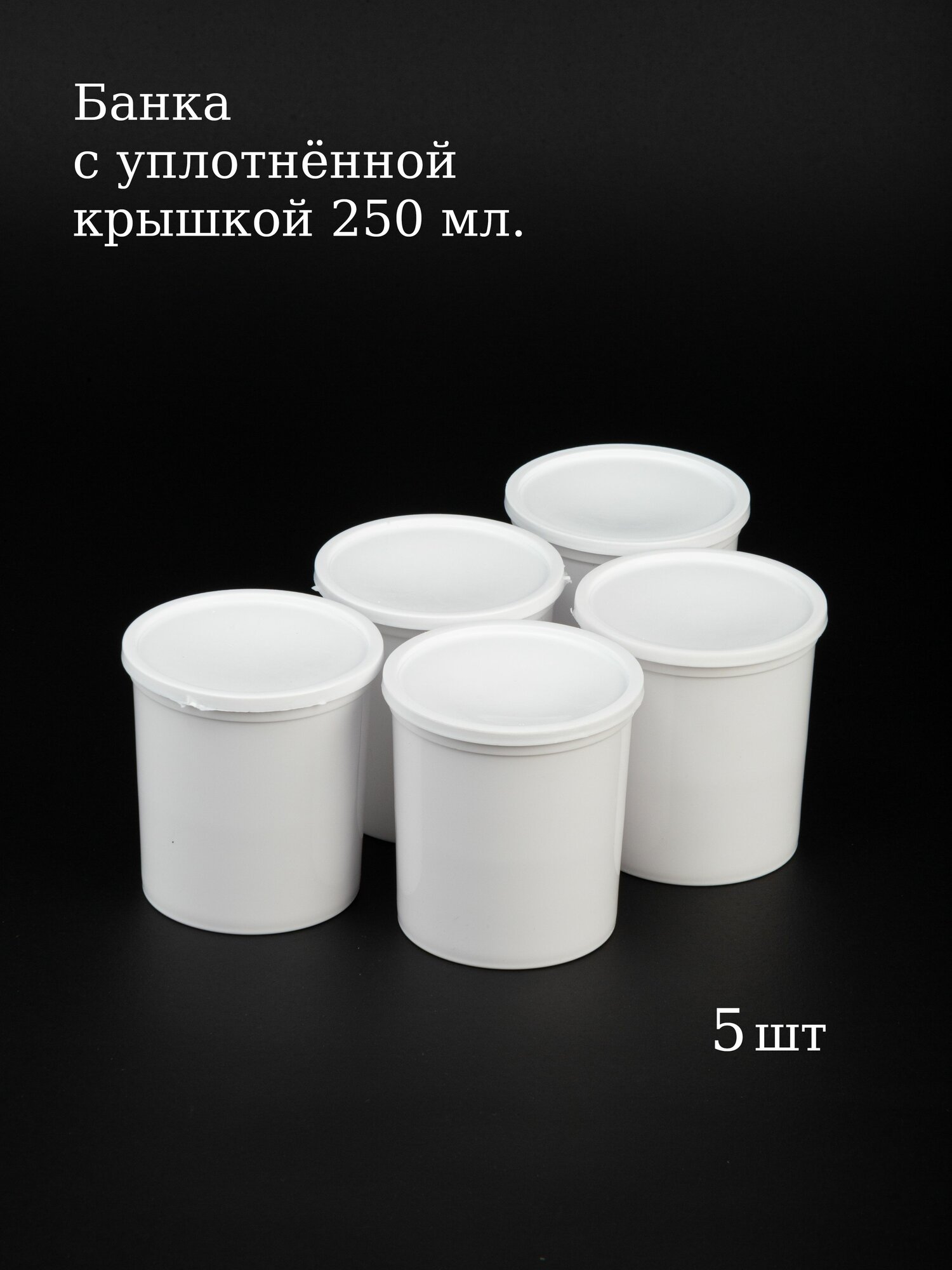 Контейнер пищевой с герметичной крышкой 250 мл, комплект из 5-ти штук