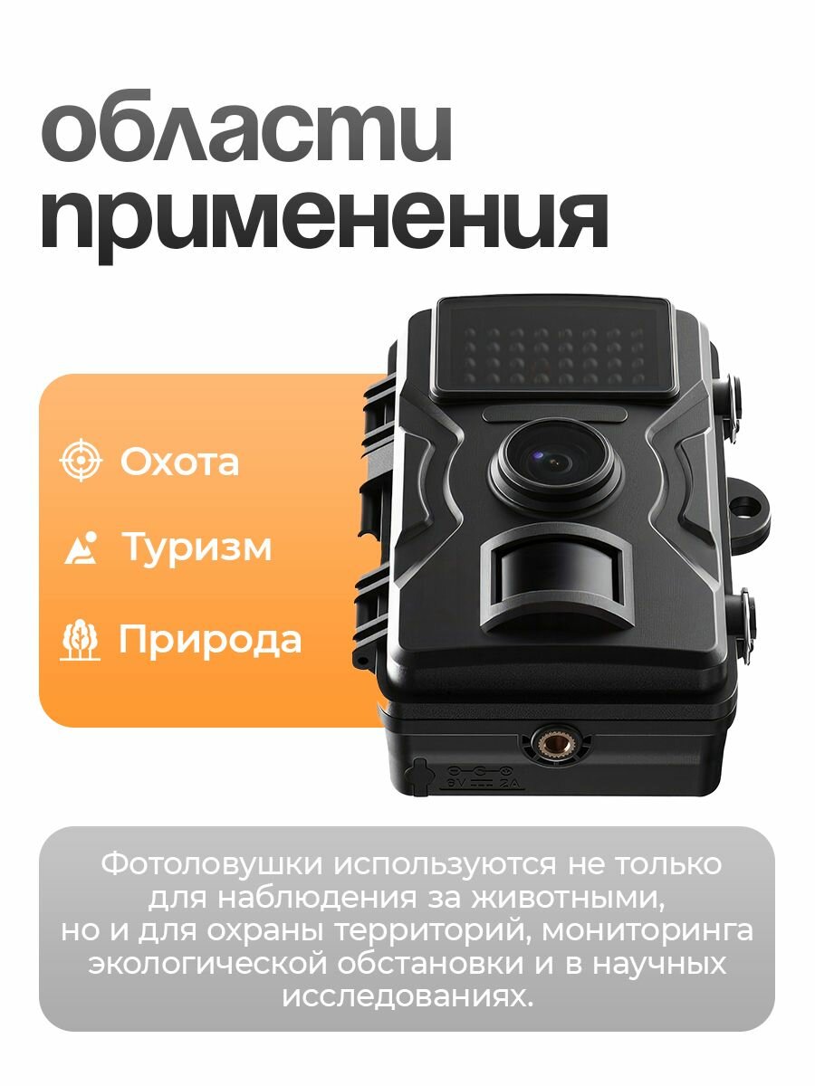 Фотоловушка — фото 1
