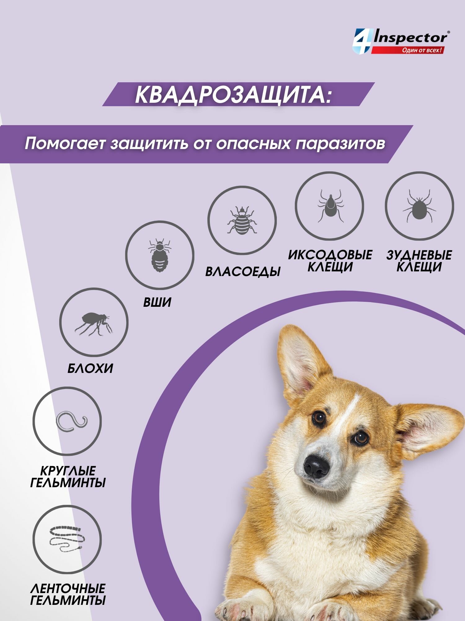Инспектор Квадро С Капли для собак 10-25 кг. от блох, клещей, гельминтов (3 пипетки) — фото 1