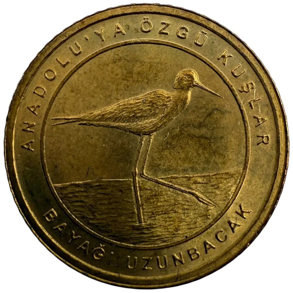 Турция 1 куруш 2021 г. (Птицы Анатолии - Чёрный ходулочник)