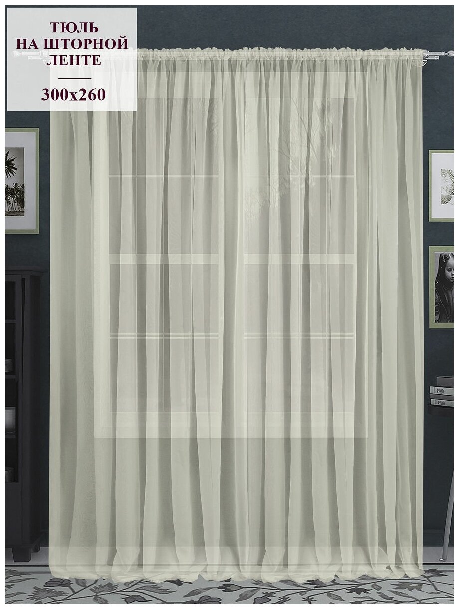 Тюль гостиный Моно, 300*260см