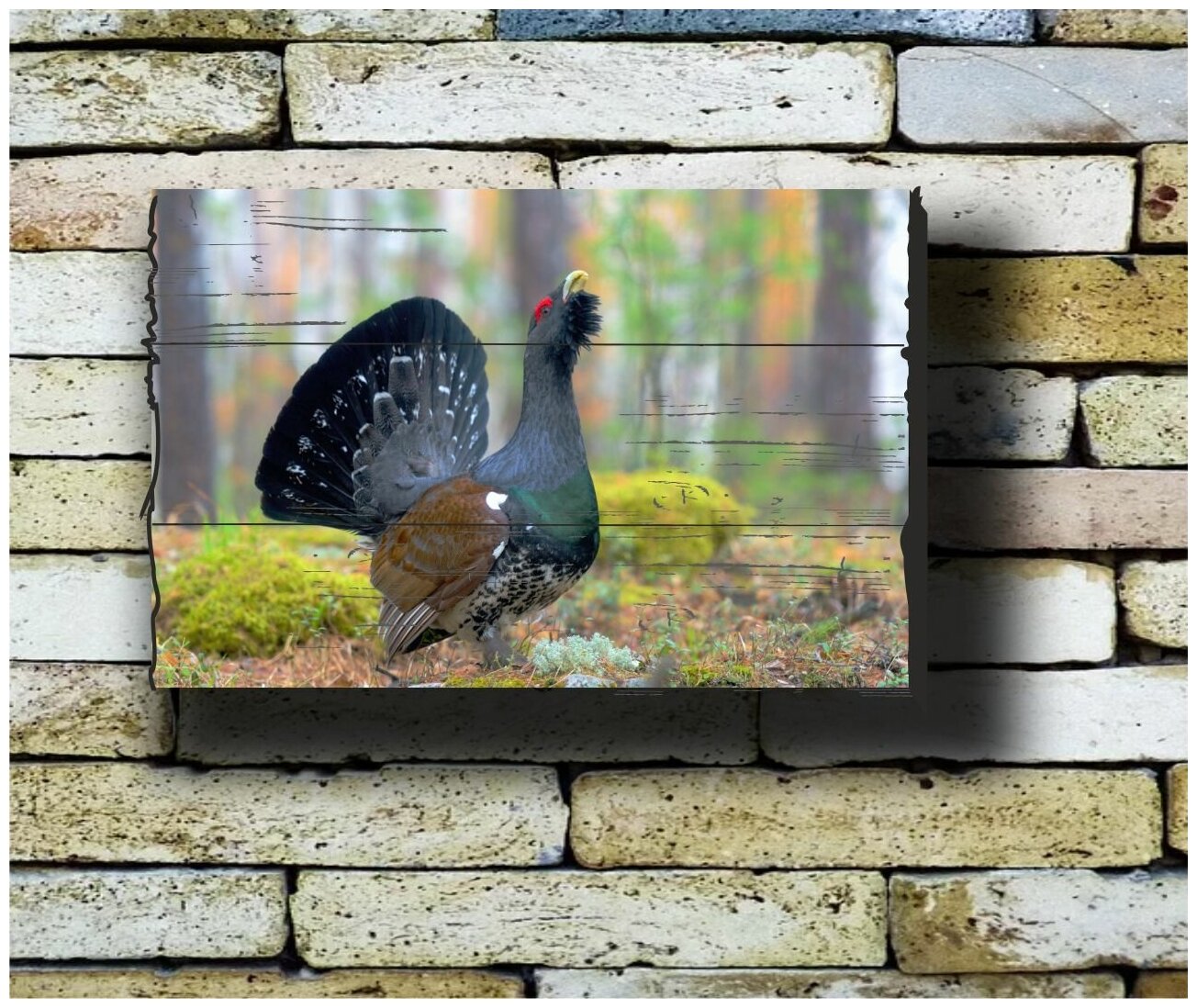 Картина на досках 'Охота. Глухарь' 50/35 см