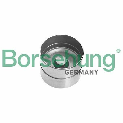 Гидрокомпенсатор Borsehung B18836
