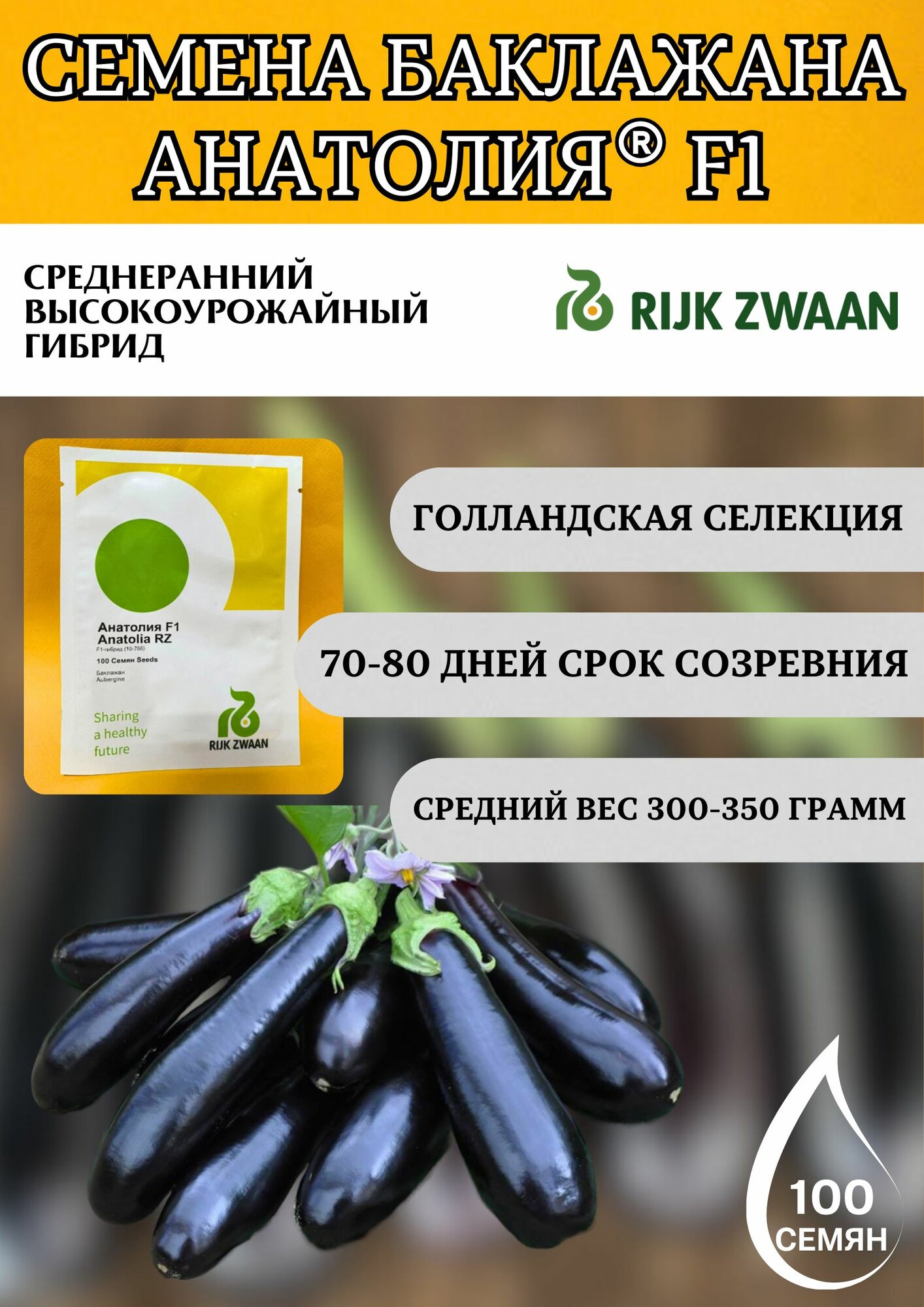 Баклажан Анатолия F1 100 семян Rijk Zwaan, профессиональные семена