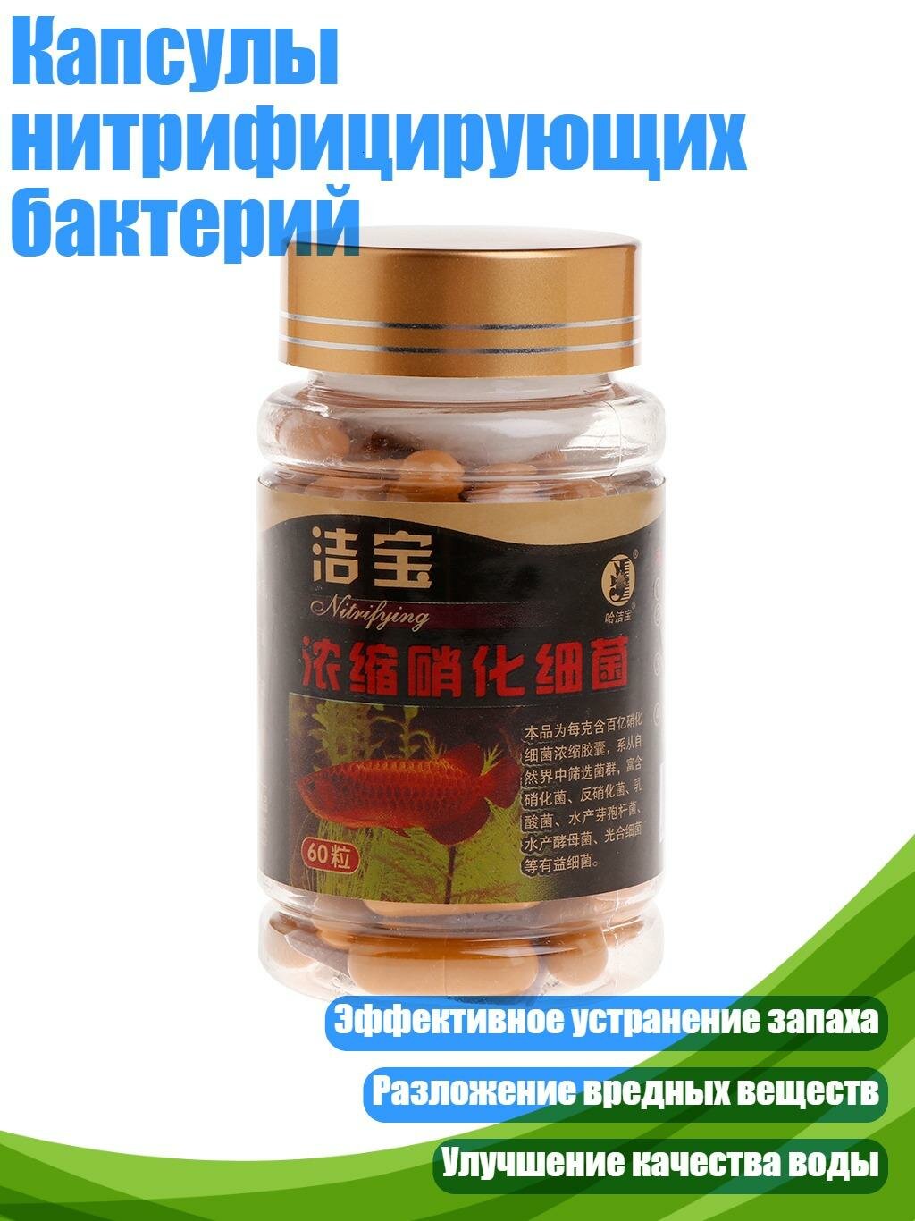 Капсулы нитрифицирующих бактерий